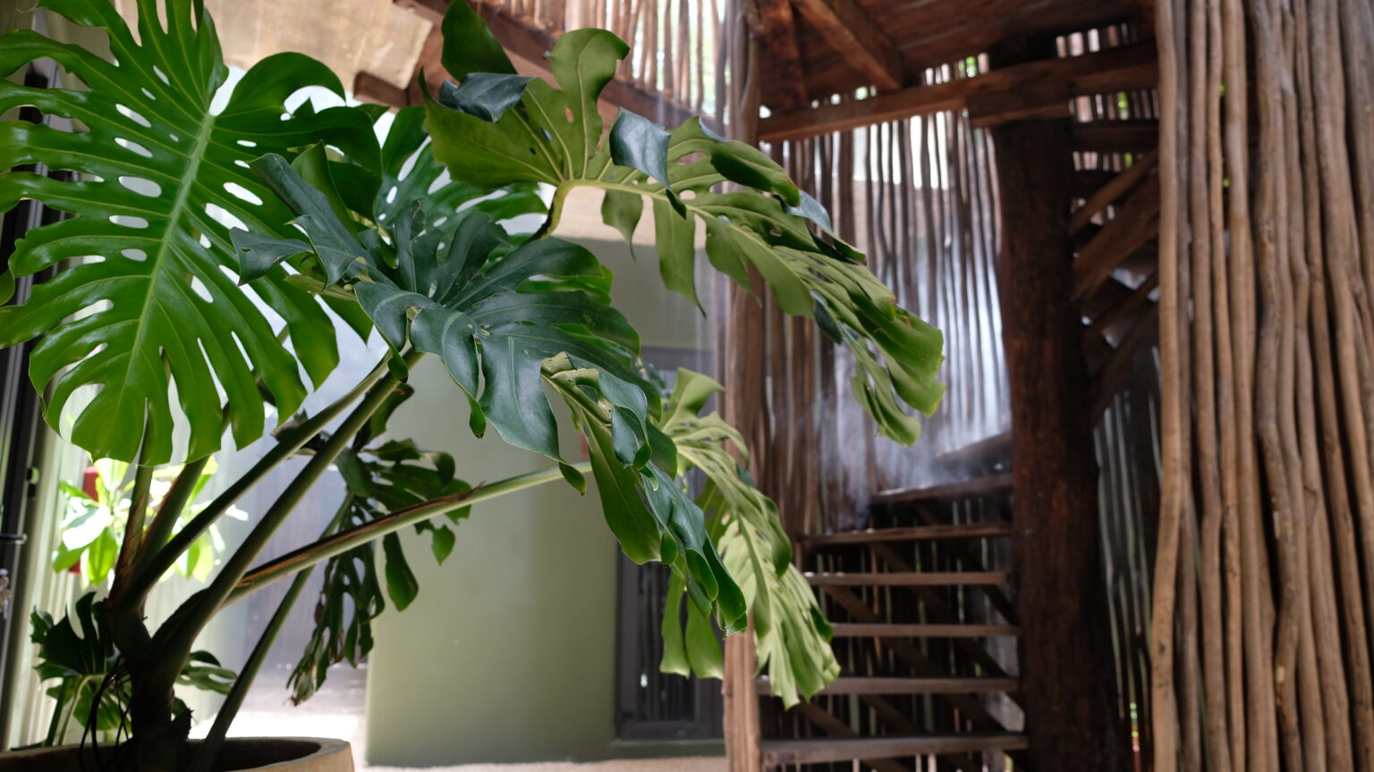 Home - Hotel Loba Tulum